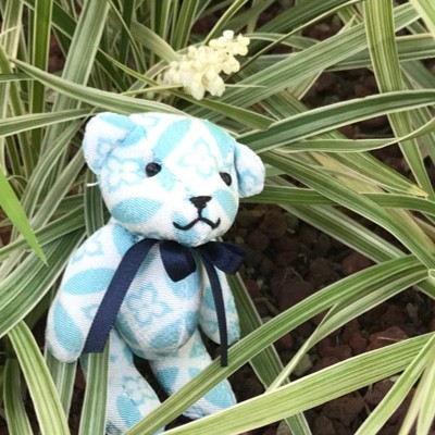 The March Charge - Ann Naylor