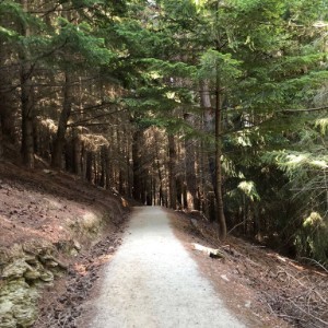 The March Charge leaderboards | Cancer Council